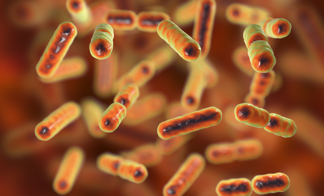 Neues aus der Forschung: Darmpolypen und Mikrobiom – Nupure Fachportal